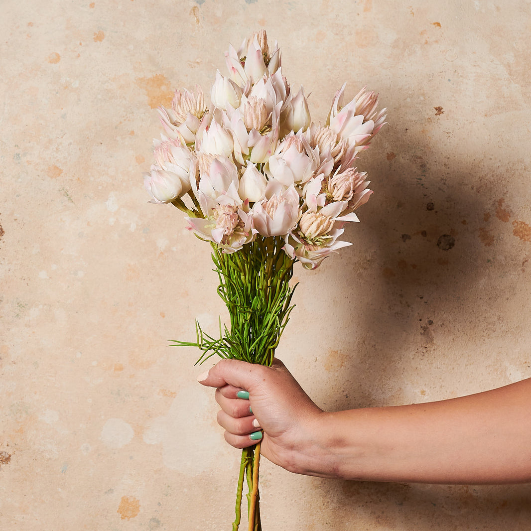 Shop Artificial Australian Native Flowers