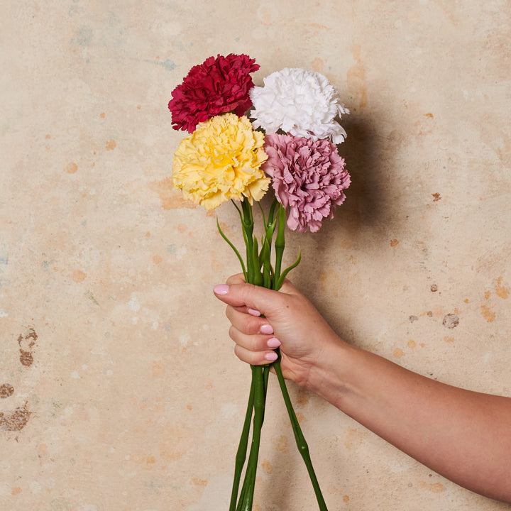 Artificial Carnations | Shop Silk Carnations