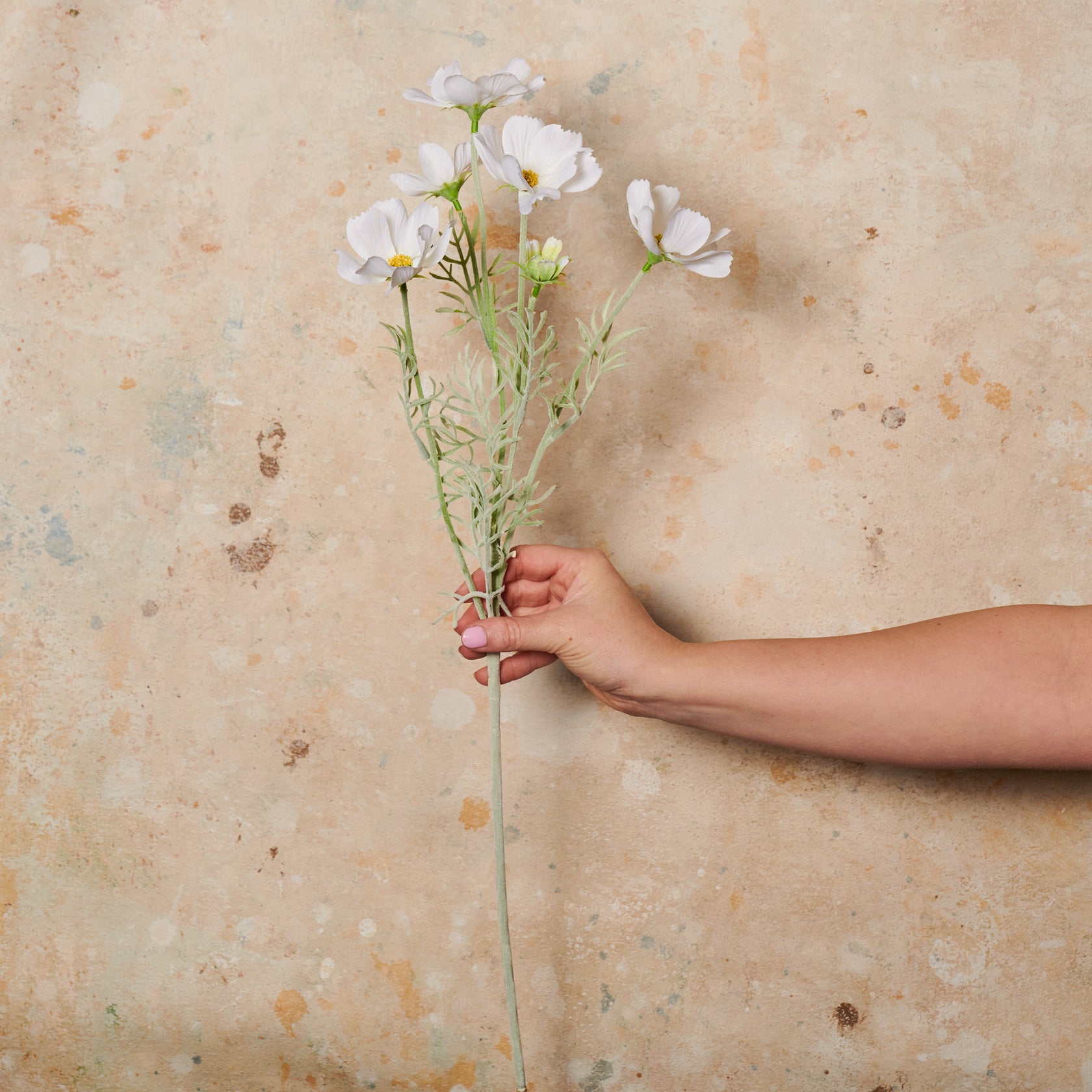 Cosmo Real Touch Flower Stem