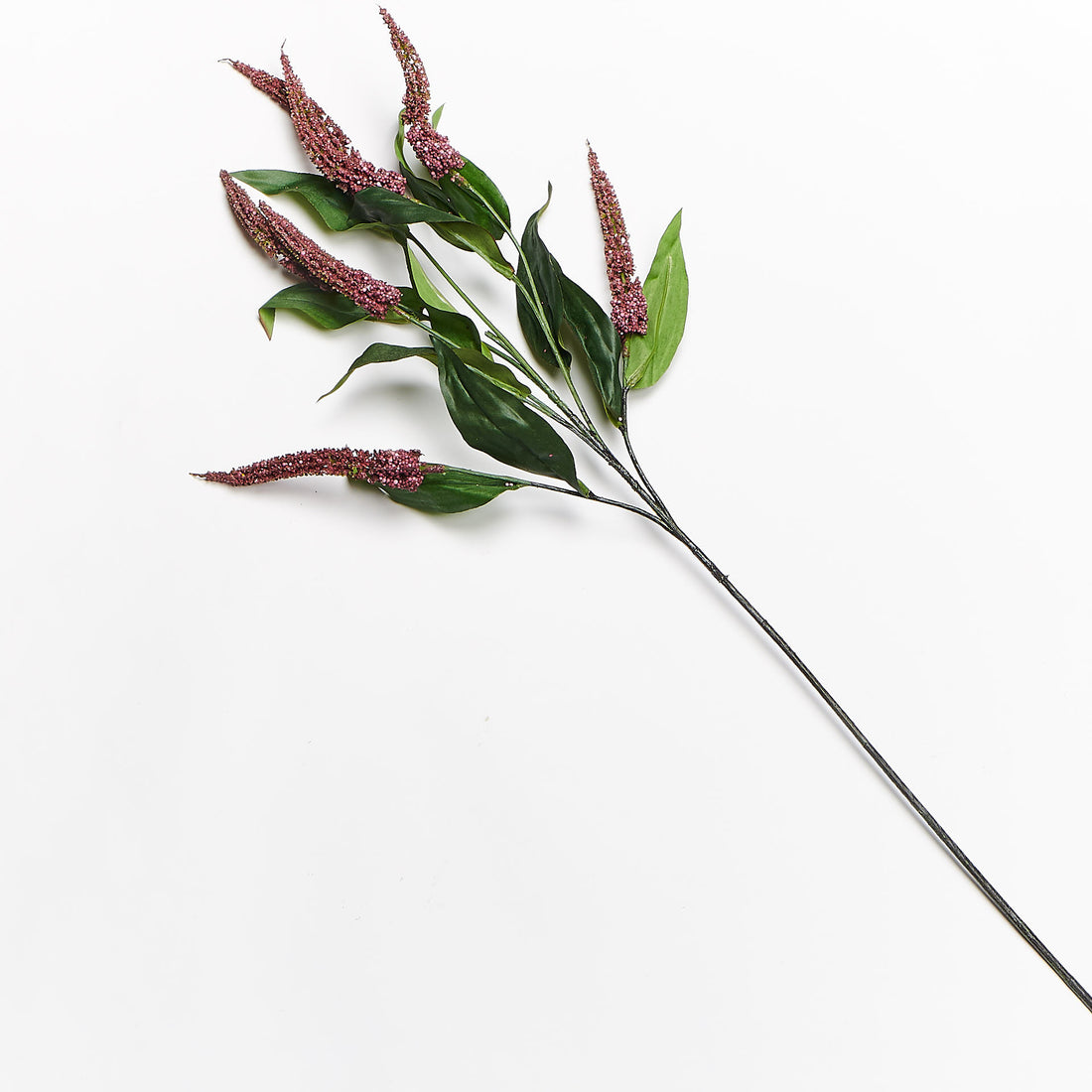 Cascara Berry Spray Real Touch Stem