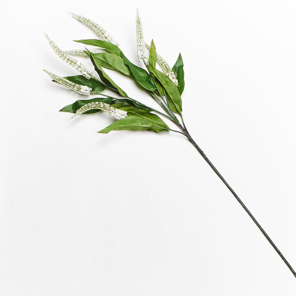 Cascara Berry Spray Real Touch Stem