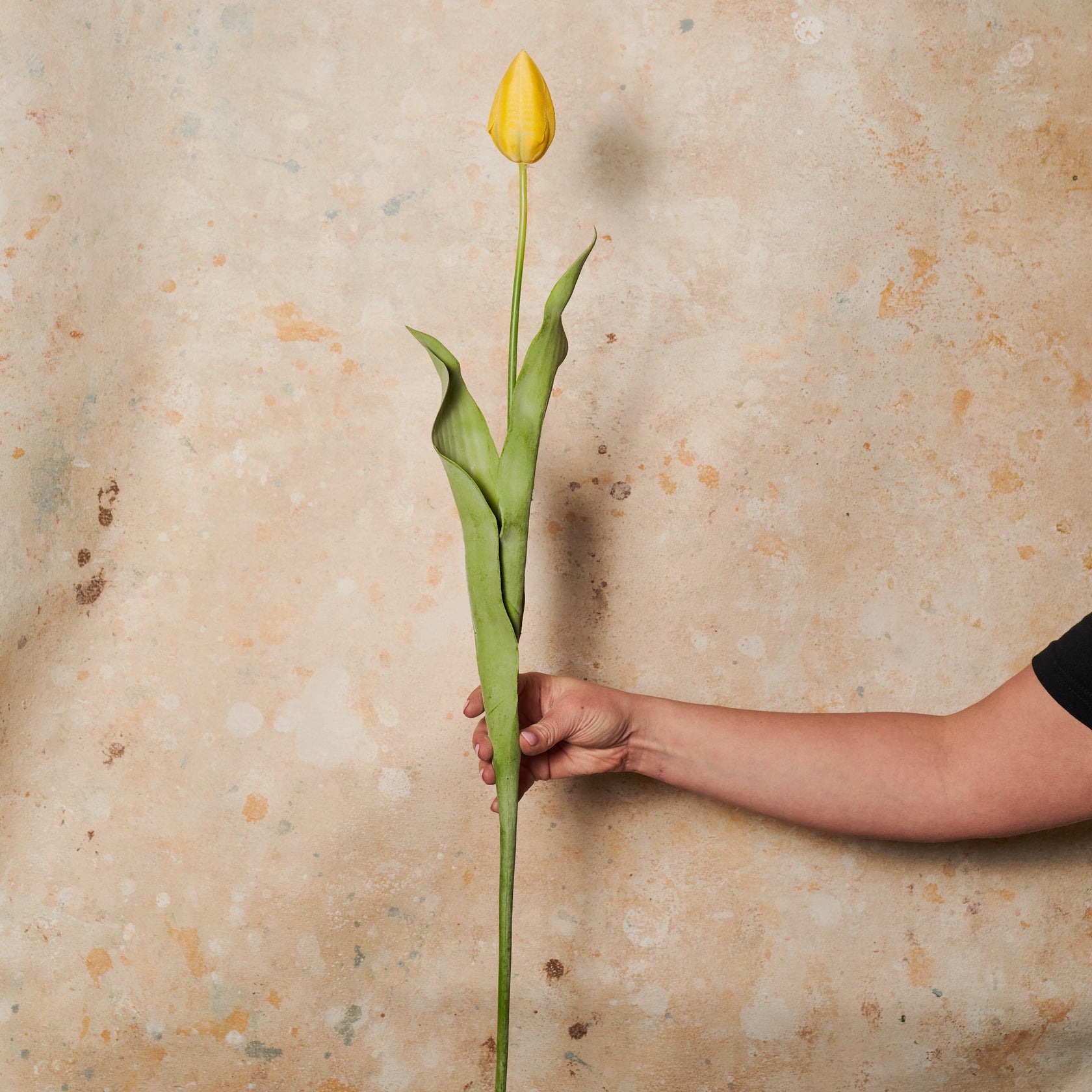 Tulip Real Touch Flower Stem